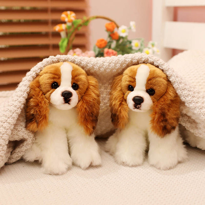Cavalier King Charles Spaniel Plush Toy – Toy Triver
