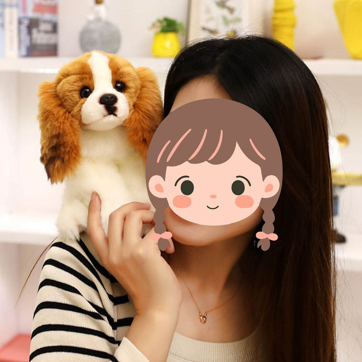 Cavalier King Charles Spaniel Plush Toy – Toy Triver