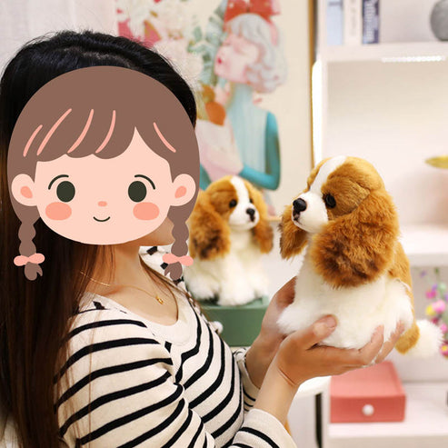 Cavalier King Charles Spaniel Plush Toy – Toy Triver