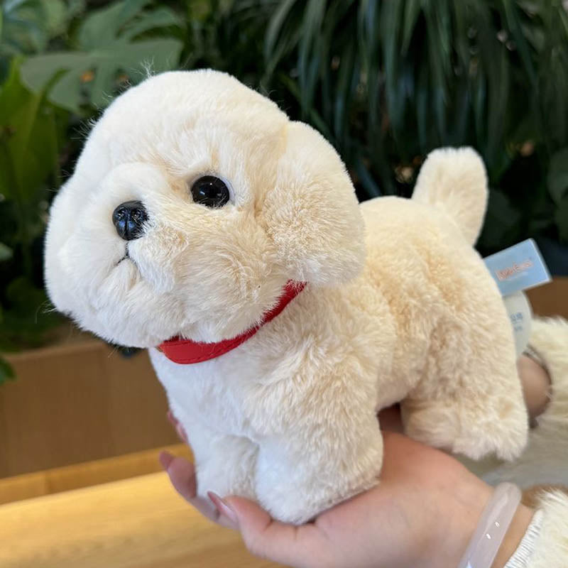 Cute Bichon Frise Stuffed Animal Plush – Toy Triver