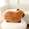 Cute Capybara Plush Pillow – Toy Triver