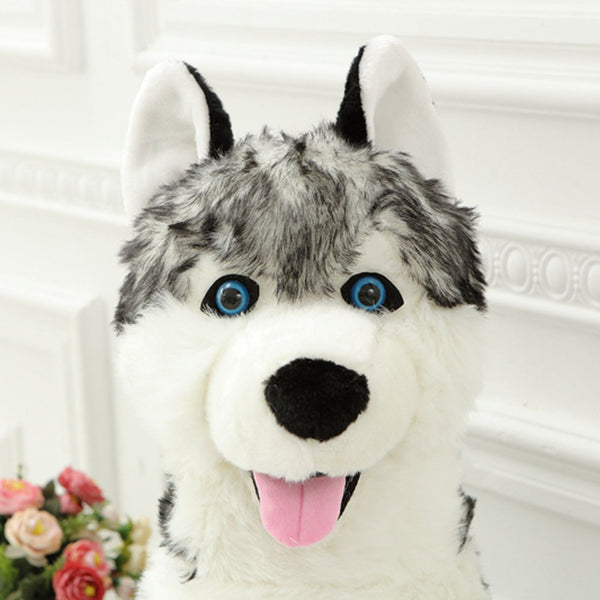 Wolf Dog Husky Plush Toy Stuffed Animal – Toy Triver