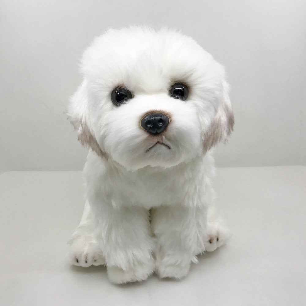 Adorable Realistic Maltese Plush-Perfect Cuddly Companion for All Ages ...