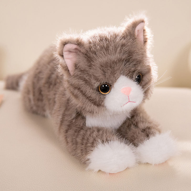 Realistic Cat Plush – Perfect Cuddly Companion for Kids & Cat Lovers ...