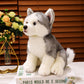 Siberian Husky Plush Toy – Toy Triver