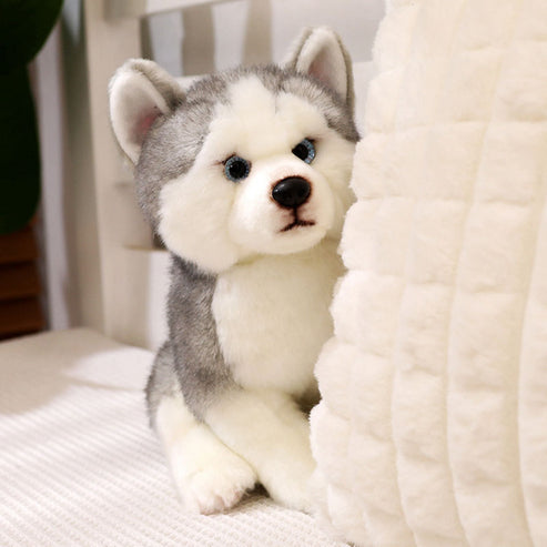 Siberian Husky Plush Toy – Toy Triver
