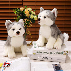 Siberian Husky Plush Toy – Toy Triver