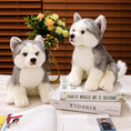 Siberian Husky Plush Toy – Toy Triver