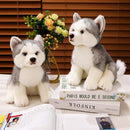 Siberian Husky Plush Toy – Toy Triver