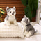 Siberian Husky Plush Toy – Toy Triver