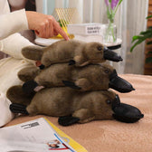 Cute Platypus Plush Toy – Toy Triver